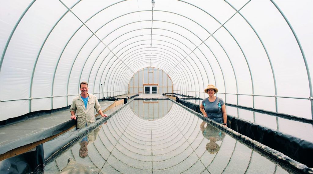 Slow Salt — Meet Nancy Bruns of J. Q. Dickinson Salt Works - Harvie Blog